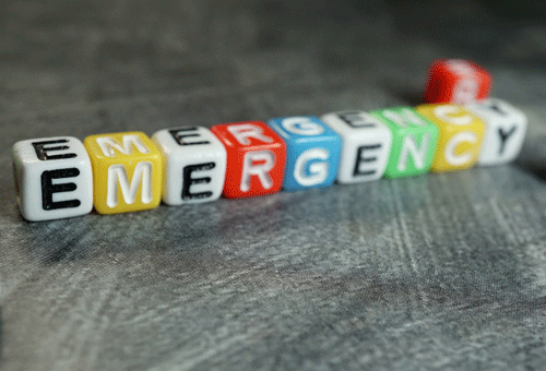 SMS Integration | From CrisisGo's Integration Library